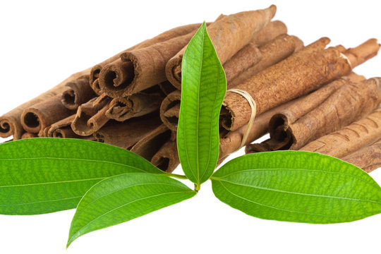 รูปภาพCannelier – เลือกดูภาพถ่ายสต็อก เวกเตอร์ และวิดีโอ128 | Adobe Stock