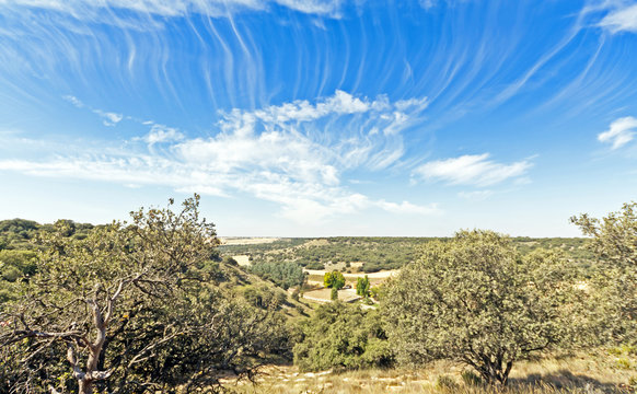 Cirros Images – Browse 166 Stock Photos, Vectors, and Video | Adobe Stock