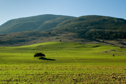 รูปภาพSerra – เลือกดูภาพถ่ายสต็อก เวกเตอร์ และวิดีโอ34,125 | Adobe Stock