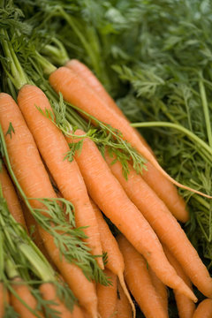 รูปภาพMaro – เลือกดูภาพถ่ายสต็อก เวกเตอร์ และวิดีโอ2,144 | Adobe Stock