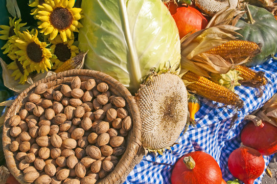 Erntedank bilder – Bläddra bland 17,336 stockfoton, vektorer och videor ...