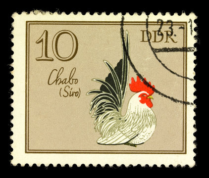 รูปภาพChabo – เลือกดูภาพถ่ายสต็อก เวกเตอร์ และวิดีโอ289 | Adobe Stock