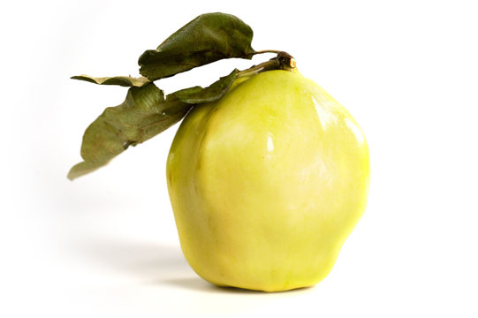 รูปภาพCotogna – เลือกดูภาพถ่ายสต็อก เวกเตอร์ และวิดีโอ92 | Adobe Stock