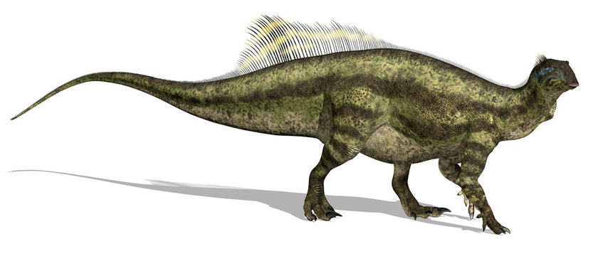 Tenontosaurus Images – Browse 20 Stock Photos, Vectors, and Video ...