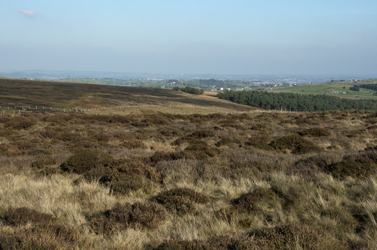 Moorland Images – Browse 135,438 Stock Photos, Vectors, and Video ...