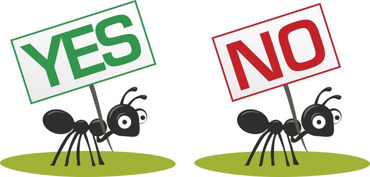 รูปภาพBejahen – เลือกดูภาพถ่ายสต็อก เวกเตอร์ และวิดีโอ158 | Adobe Stock