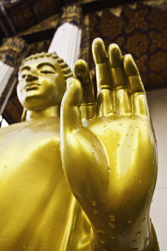 Auguration Bilder – Durchsuchen 107 Archivfotos, Vektorgrafiken und ...