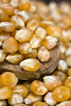 Cariosside Images – Browse 39 Stock Photos, Vectors, and Video | Adobe ...