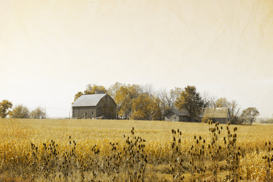 maksymowicz photos, images, assets | Adobe Stock