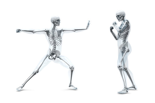 Skellet 画像 - 参照 95 Stock 写真、ベクターおよびビデオ | Adobe Stock