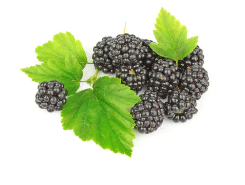 tinnko 写真、画像、アセット | Adobe Stock