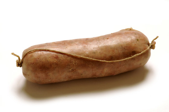 Muset Images – Browse 45 Stock Photos, Vectors, and Video | Adobe Stock