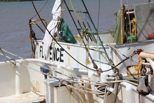 「Crevettier」の画像 - 83 件の Stock 写真、ベクターおよびビデオ | Adobe Stock