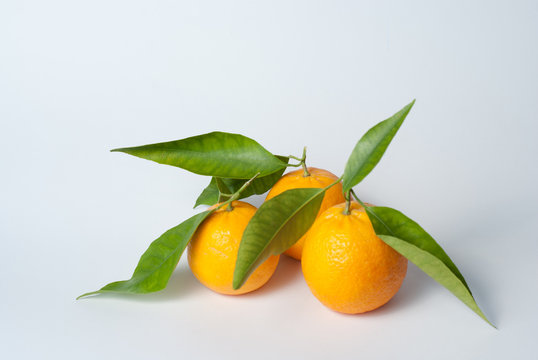 Laranjas Bilder – Durchsuchen 295 Archivfotos, Vektorgrafiken und ...