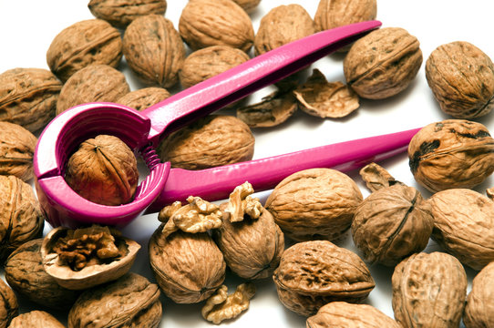 รูปภาพFucsia – เลือกดูภาพถ่ายสต็อก เวกเตอร์ และวิดีโอ6,225 | Adobe Stock