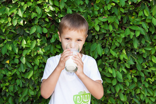 รูปภาพMilted – เลือกดูภาพถ่ายสต็อก เวกเตอร์ และวิดีโอ6,990 | Adobe Stock