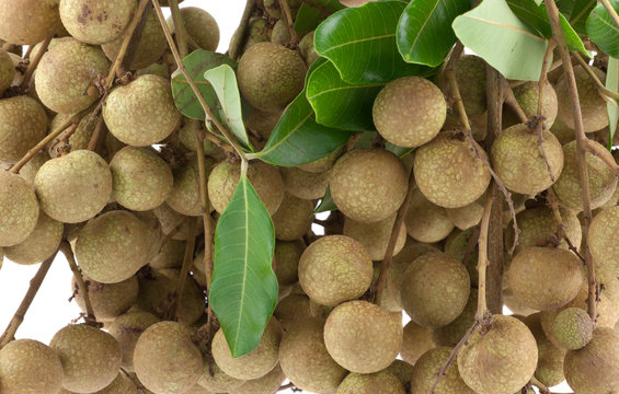 「Longani」の画像 - 67 件の Stock 写真、ベクターおよびビデオ | Adobe Stock