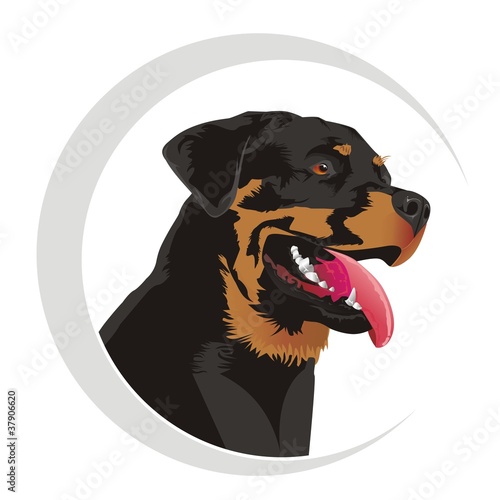 Why Is My Rottweiler Howling