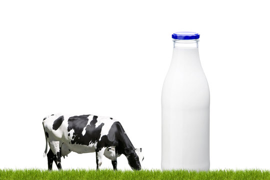 Imágenes de Kuhmilch: descubre bancos de fotos, ilustraciones, vectores ...