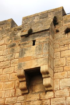 รูปภาพMachicoulis – เลือกดูภาพถ่ายสต็อก เวกเตอร์ และวิดีโอ2,329 | Adobe ...