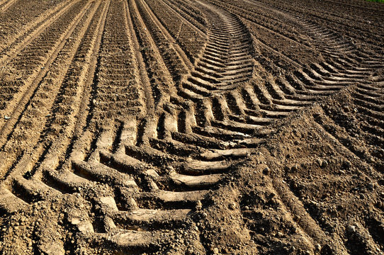 Impronta Images – Browse 19,342 Stock Photos, Vectors, and Video ...