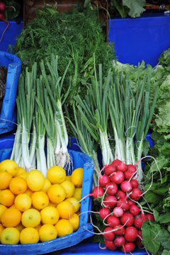 Turp 画像 - 参照 384 Stock 写真、ベクターおよびビデオ | Adobe Stock