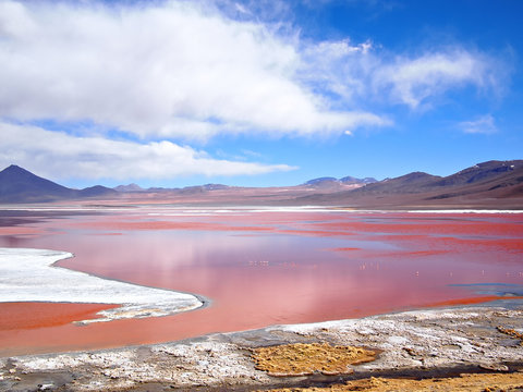 "Red Lagoon" Images – Browse 821 Stock Photos, Vectors, and Video ...