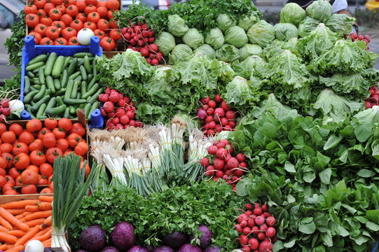 Turp 画像 - 参照 384 Stock 写真、ベクターおよびビデオ | Adobe Stock