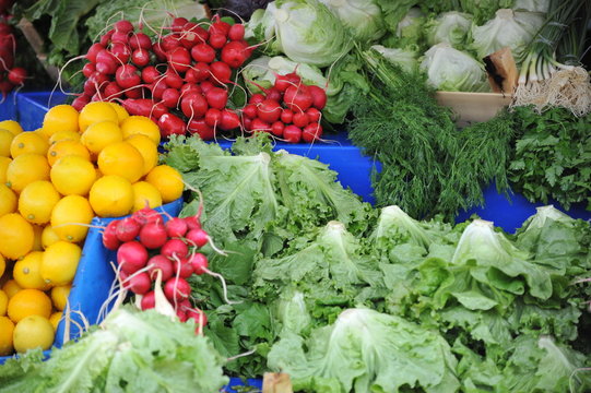 Turp 画像 - 参照 384 Stock 写真、ベクターおよびビデオ | Adobe Stock