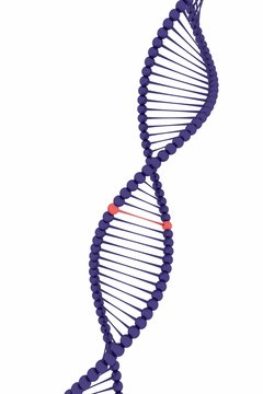 รูปภาพDnk – เลือกดูภาพถ่ายสต็อก เวกเตอร์ และวิดีโอ287,315 | Adobe Stock