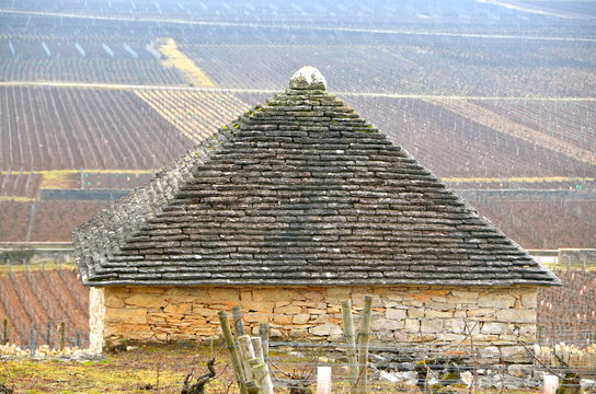 Cabotte Images – Browse 123 Stock Photos, Vectors, and Video | Adobe Stock