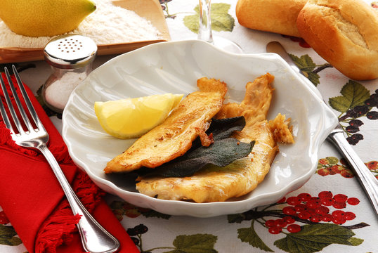 Lavarello Images – Browse 36 Stock Photos, Vectors, and Video | Adobe Stock