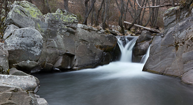 Boeza Images – Browse 20 Stock Photos, Vectors, and Video | Adobe Stock