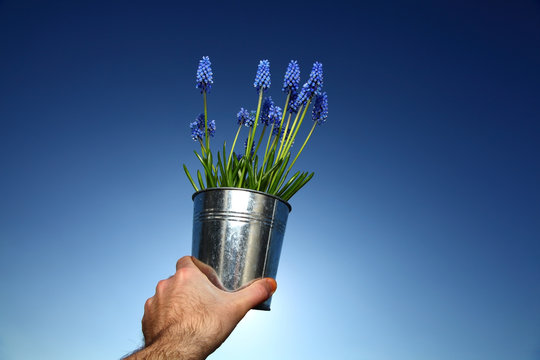 รูปภาพBlechtopf – เลือกดูภาพถ่ายสต็อก เวกเตอร์ และวิดีโอ68 | Adobe Stock