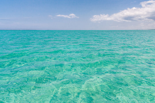 Imágenes de Ramena: descubre bancos de fotos, ilustraciones, vectores y ...