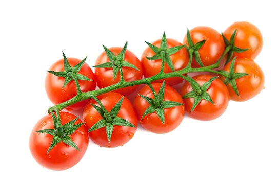 Sheri Images – Browse 55 Stock Photos, Vectors, and Video | Adobe Stock