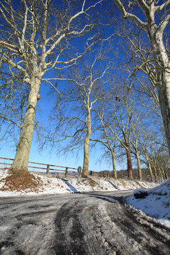 Verglacé - Images et vidéos libres de droits | Adobe Stock