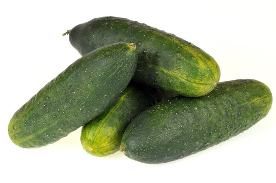 รูปภาพArgant – เลือกดูภาพถ่ายสต็อก เวกเตอร์ และวิดีโอ383 | Adobe Stock