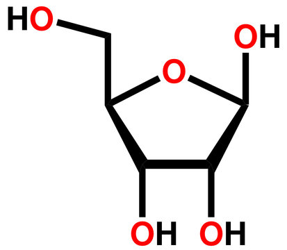 รูปภาพRibose – เลือกดูภาพถ่ายสต็อก เวกเตอร์ และวิดีโอ893 | Adobe Stock