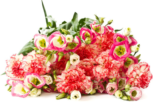รูปภาพCarnations – เลือกดูภาพถ่ายสต็อก เวกเตอร์ และวิดีโอ139,543 ...