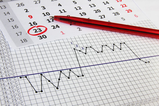 Zykluskalender-Bilder: Stock-Fotos & -Videos. | Adobe Stock