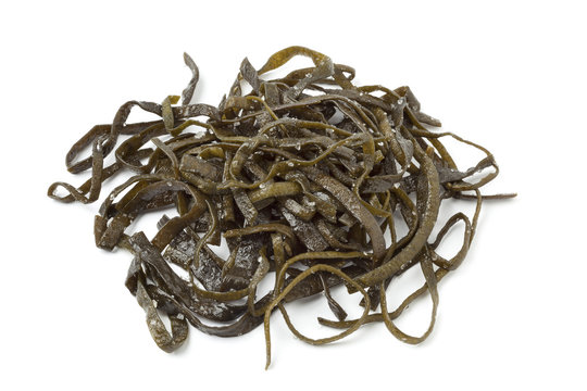 "Sea Beans" Images – Browse 303 Stock Photos, Vectors, and Video ...