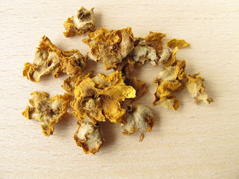 รูปภาพWollblumen – เลือกดูภาพถ่ายสต็อก เวกเตอร์ และวิดีโอ12 | Adobe Stock