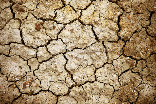 รูปภาพDryness – เลือกดูภาพถ่ายสต็อก เวกเตอร์ และวิดีโอ105,548 | Adobe Stock