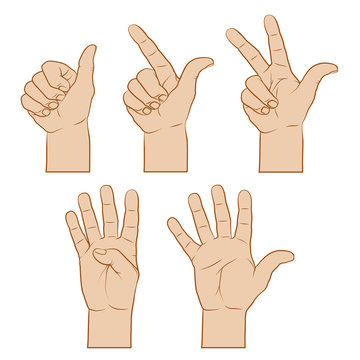 Handsymbolik 이미지 – 찾아보기 20 스톡 사진, 벡터 및 비디오 | Adobe Stock