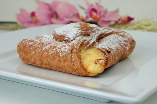 รูปภาพQuarktasche – เลือกดูภาพถ่ายสต็อก เวกเตอร์ และวิดีโอ87 | Adobe Stock