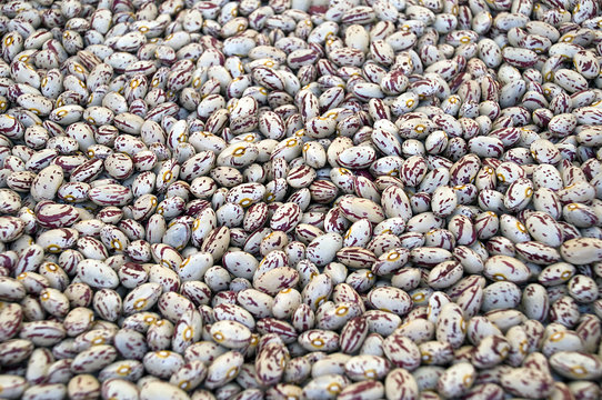 รูปภาพBacello – เลือกดูภาพถ่ายสต็อก เวกเตอร์ และวิดีโอ249 | Adobe Stock