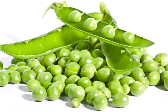 รูปภาพErbse – เลือกดูภาพถ่ายสต็อก เวกเตอร์ และวิดีโอ5,176 | Adobe Stock