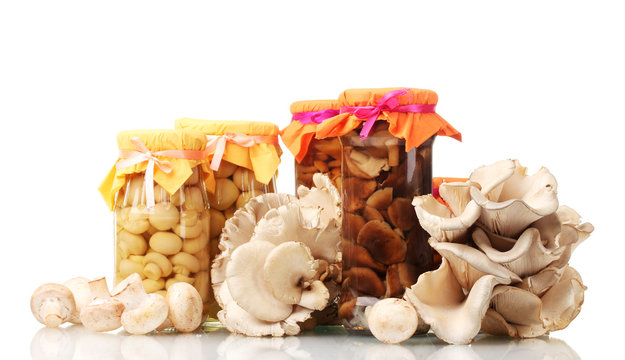 Champignons Billeder – Gennemse 174,925 stockfotos, vektorer og videoer ...