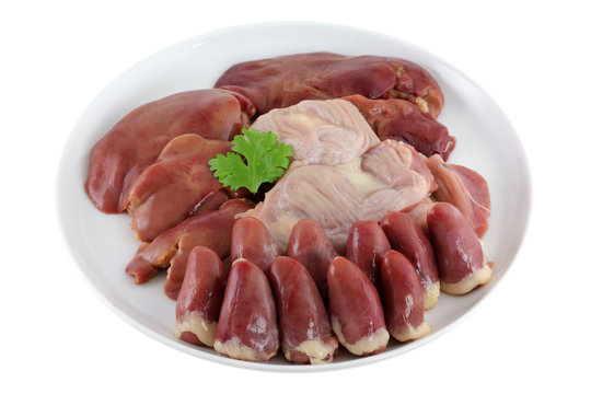 Gizzard Images – Browse 4,900 Stock Photos, Vectors, and Video | Adobe ...